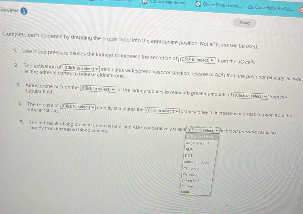Complete each sentence by dragging the | StudyX
