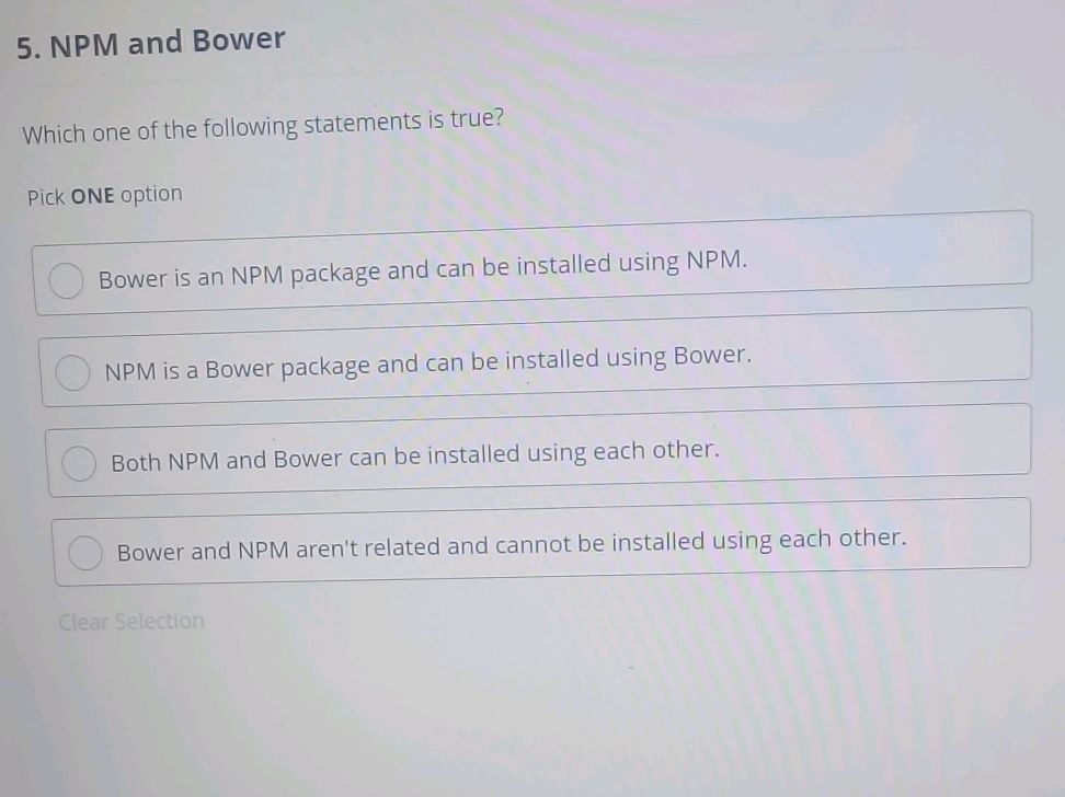 5. NPM and Bower Which one of the following | StudyX