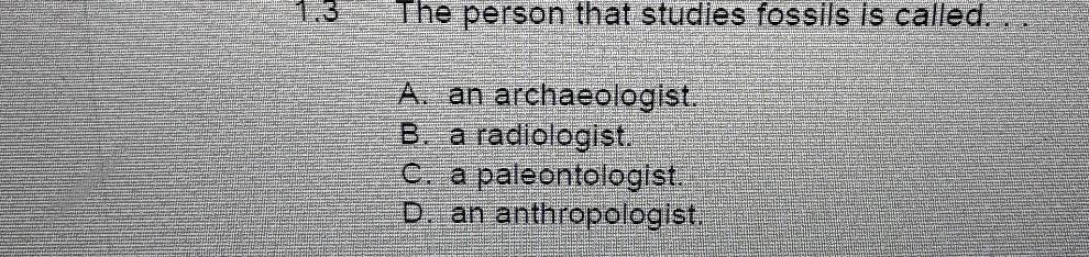 3 The person that studies fossils is