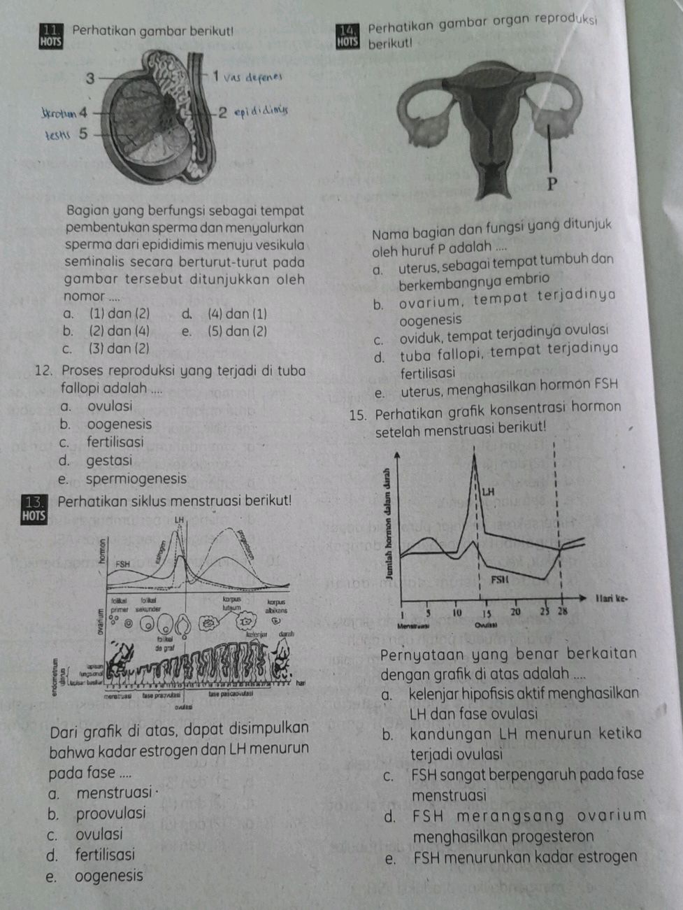 11. Perhatikan gambar berikut! Bagian yang | StudyX
