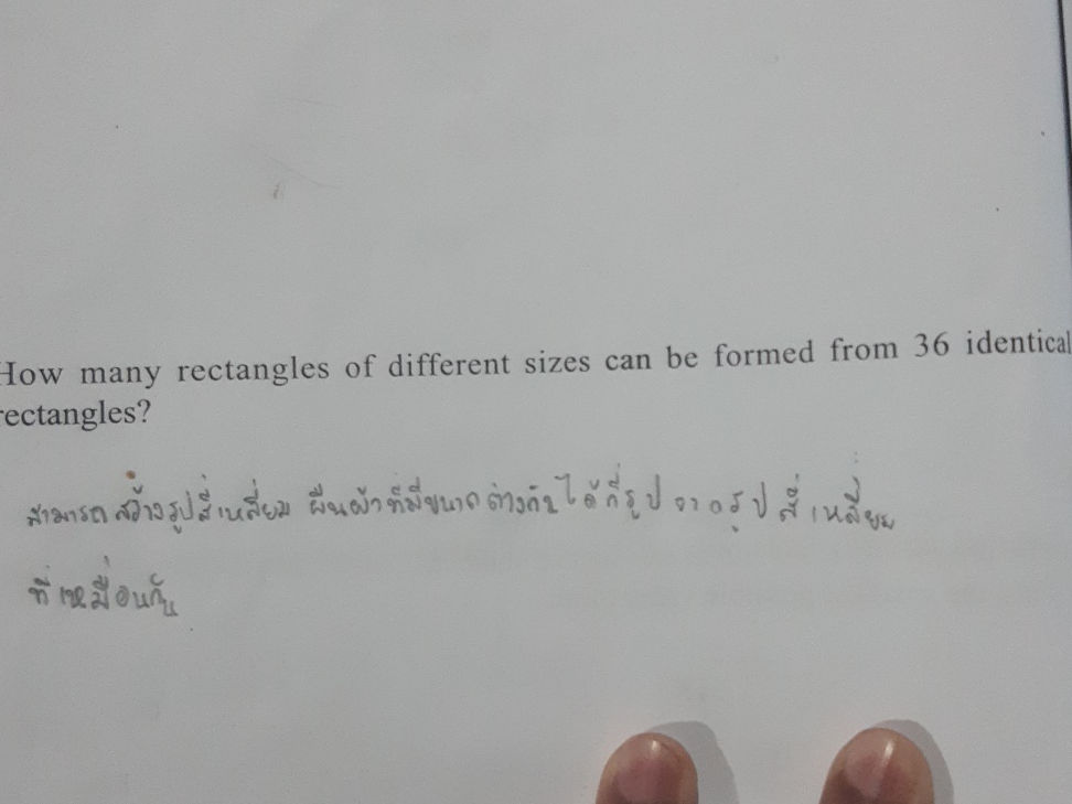 How many rectangles of different sizes can | StudyX