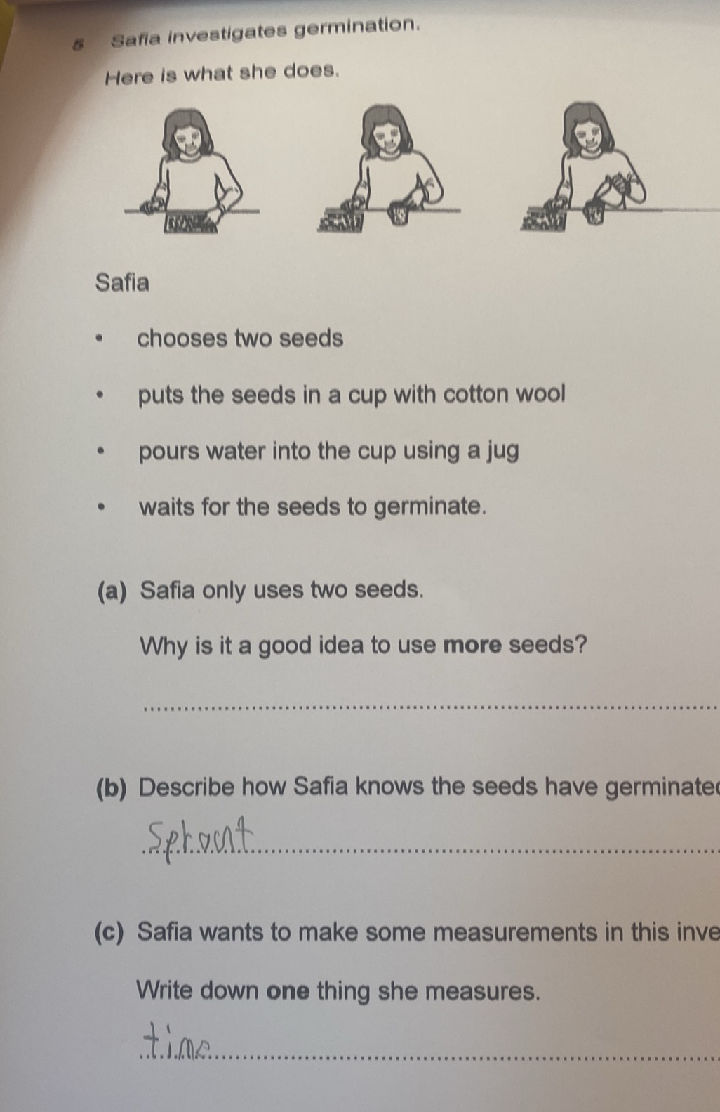 Safia investigates germination. Here is what | StudyX