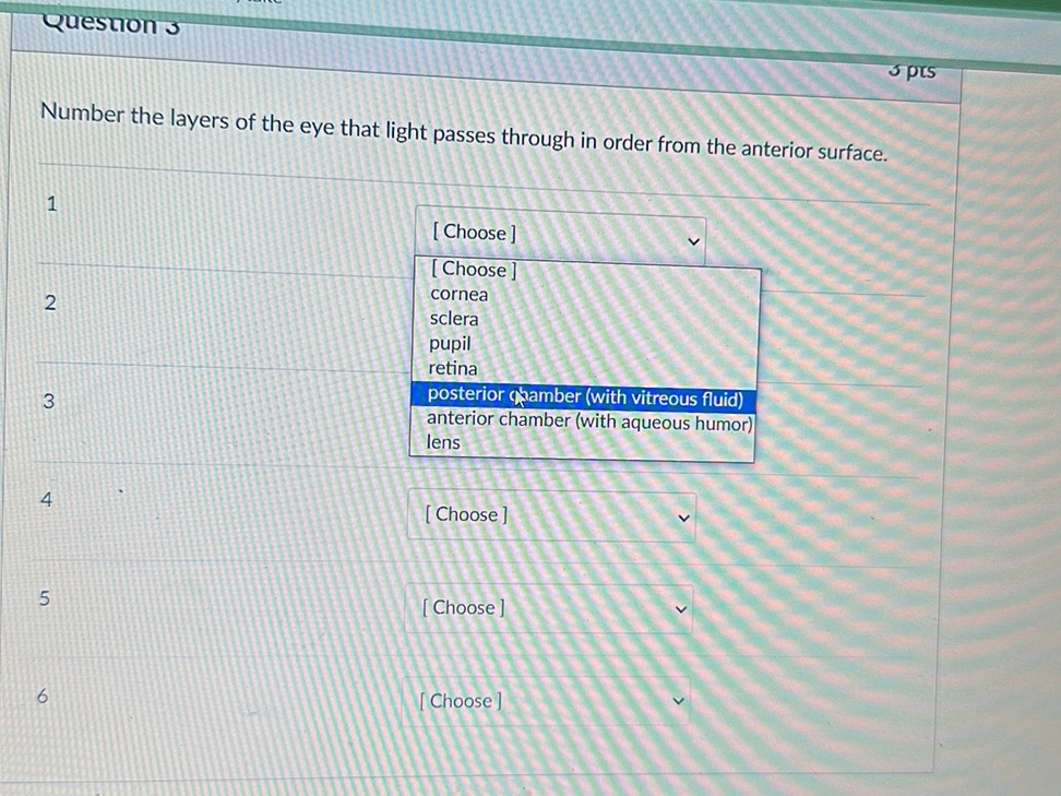 Number the layers of the eye that light | StudyX