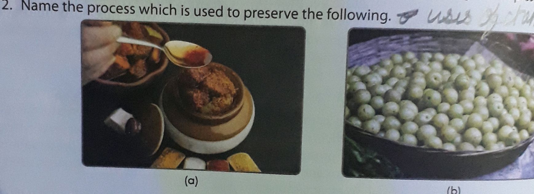 2. Name the process which is used to | StudyX