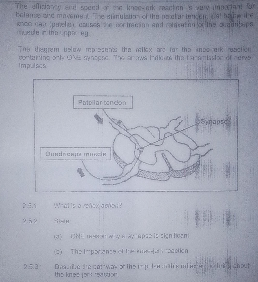 2. 5.1 What is a reflex action? 2. 5.2 | StudyX