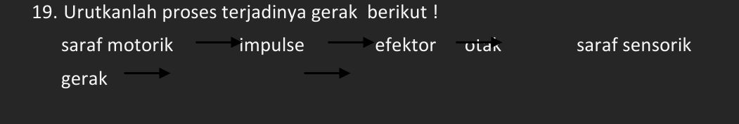 19. Urutkanlah proses terjadinya gerak | StudyX
