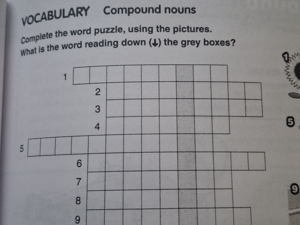 Complete the word puzzle, using the | StudyX