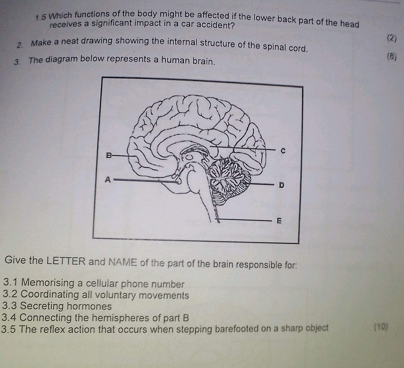 1.5 Which functions of the body might be | StudyX