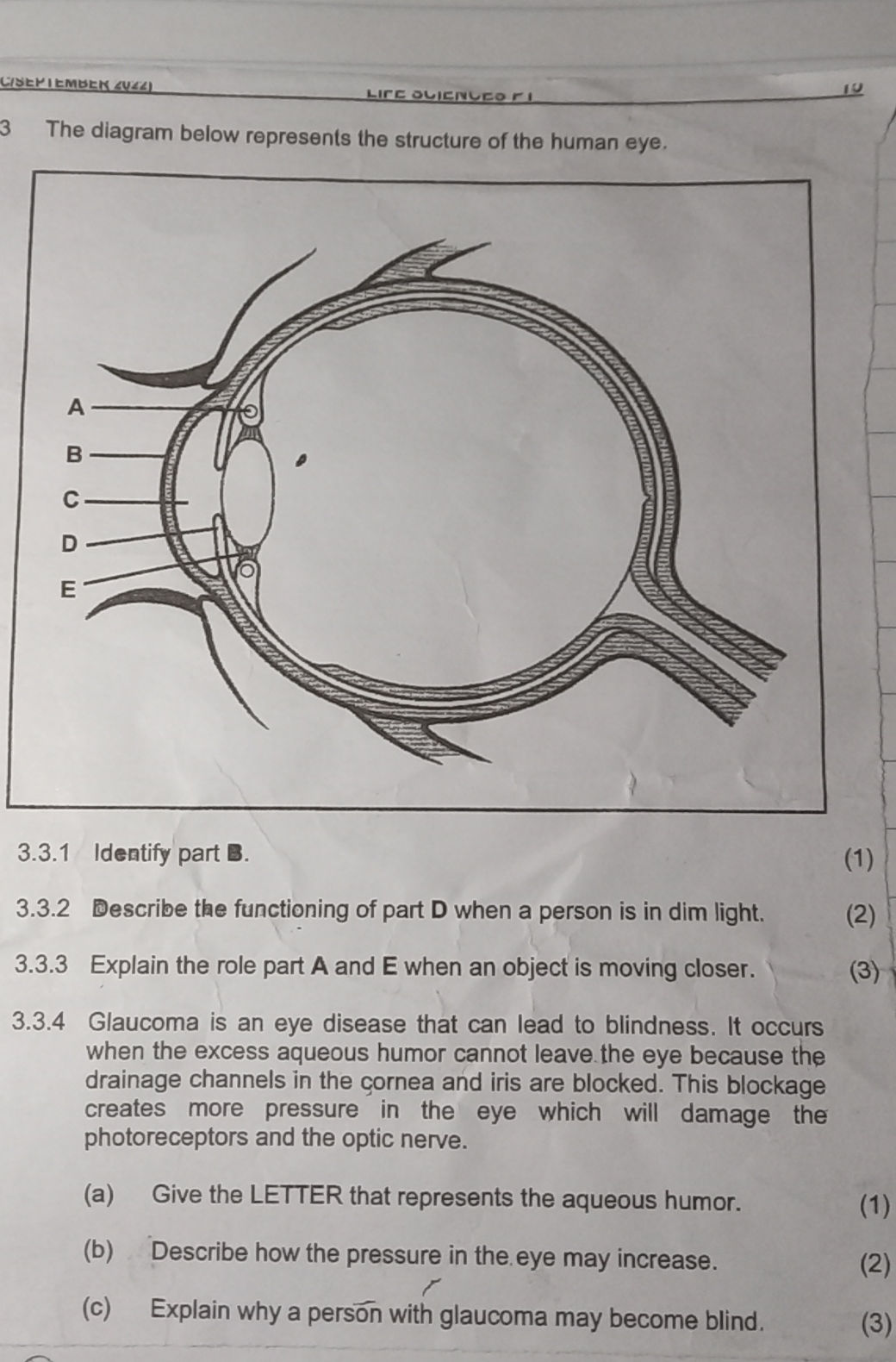 3 The diagram below represents the structure | StudyX