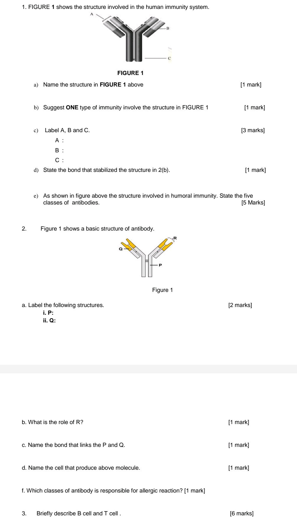 1. FIGURE 1 shows the structure involved in | StudyX