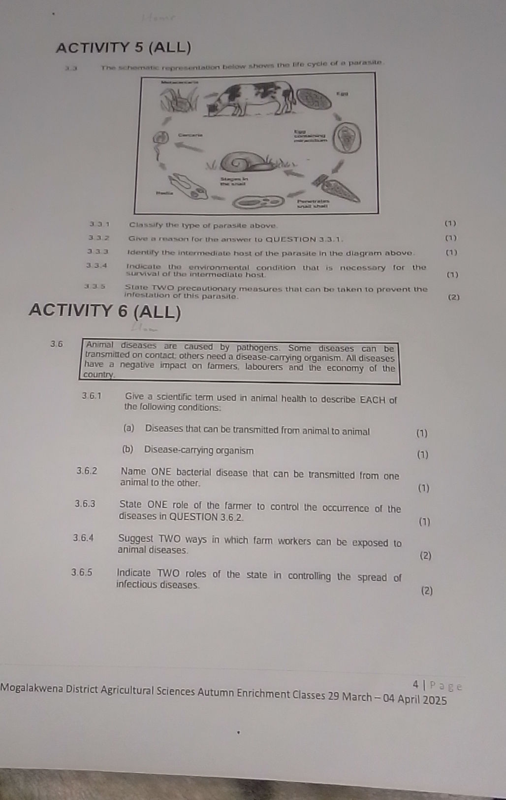 3.3 The schematic representation below shows | StudyX