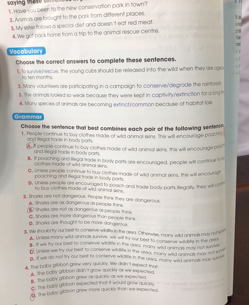 Choose the correct answers to complete these | StudyX