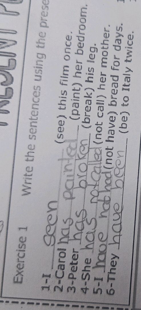 Exercise 1 Write the sentences using the | StudyX