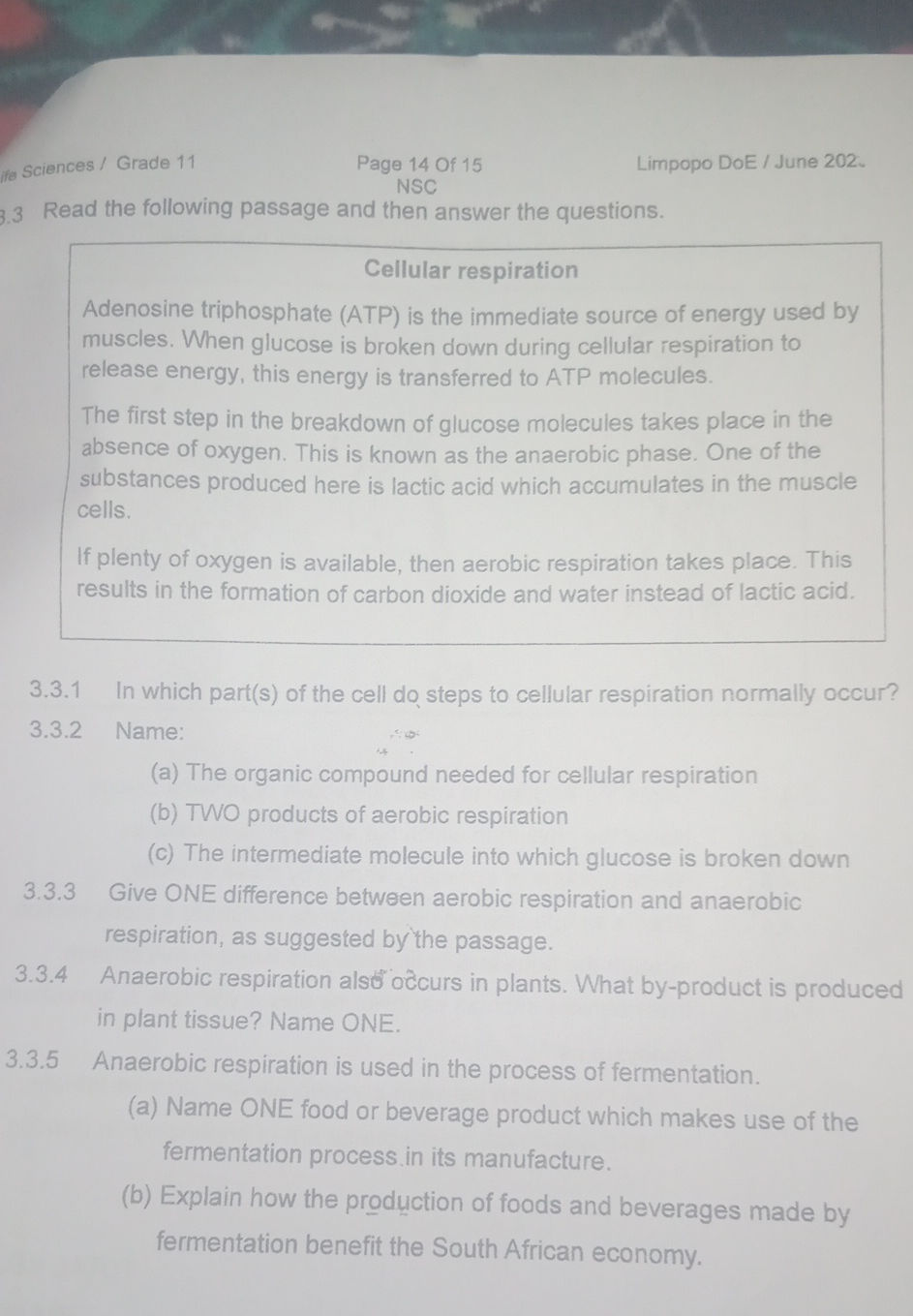 3.3 Read the following passage and then | StudyX