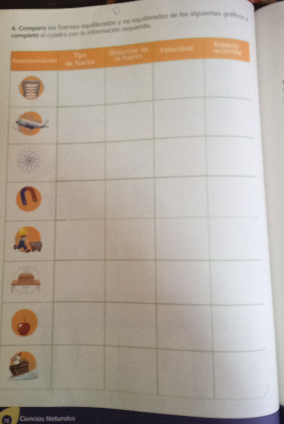 4. Comparo las fuerzas equilibradas y no | StudyX