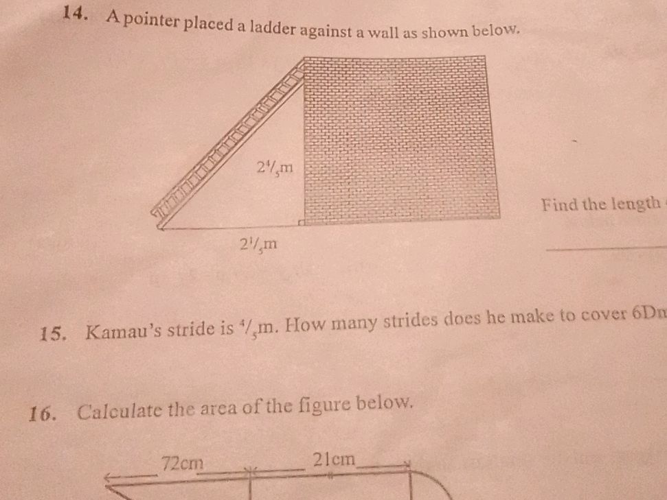14. A pointer placed a ladder against a wall | StudyX
