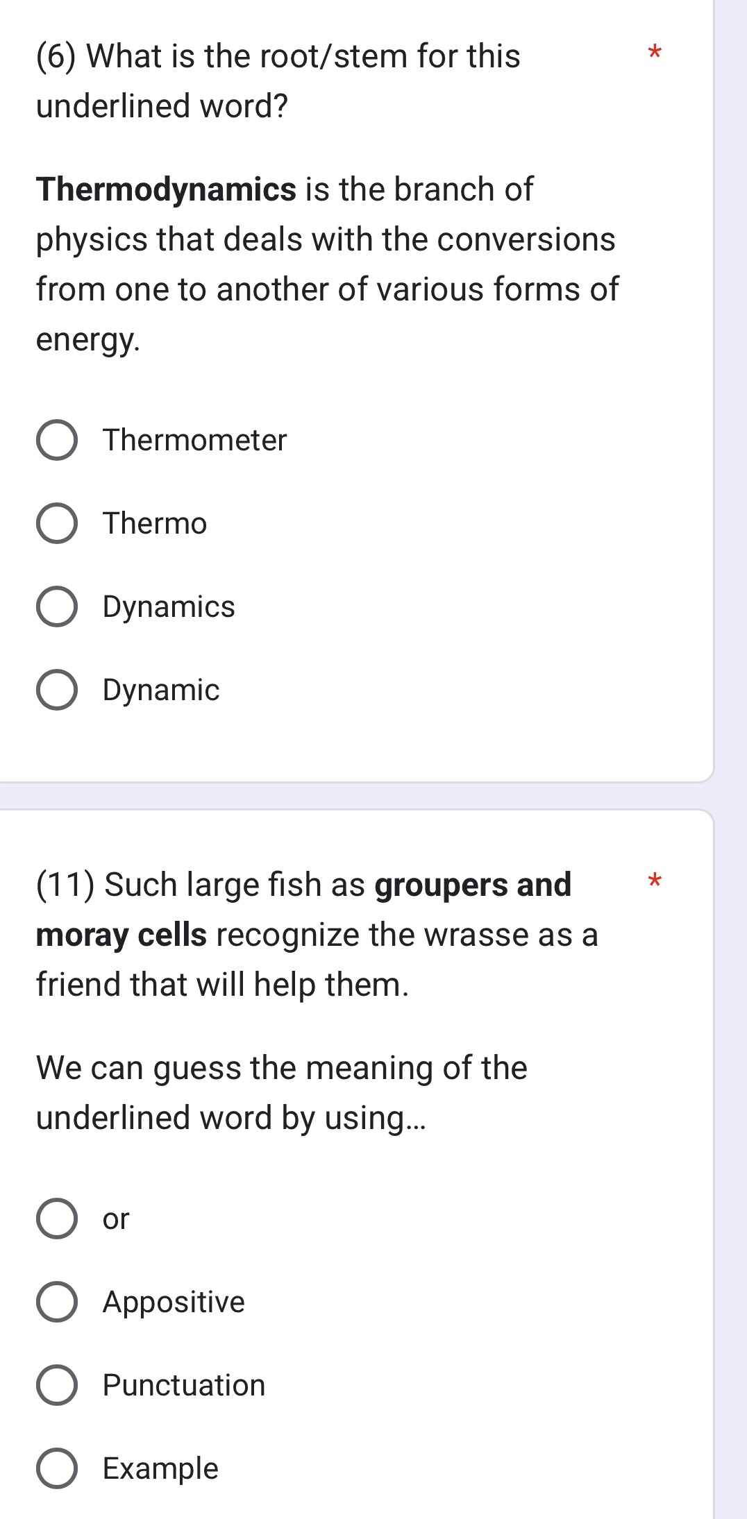(6) What is the root/stem for this | StudyX