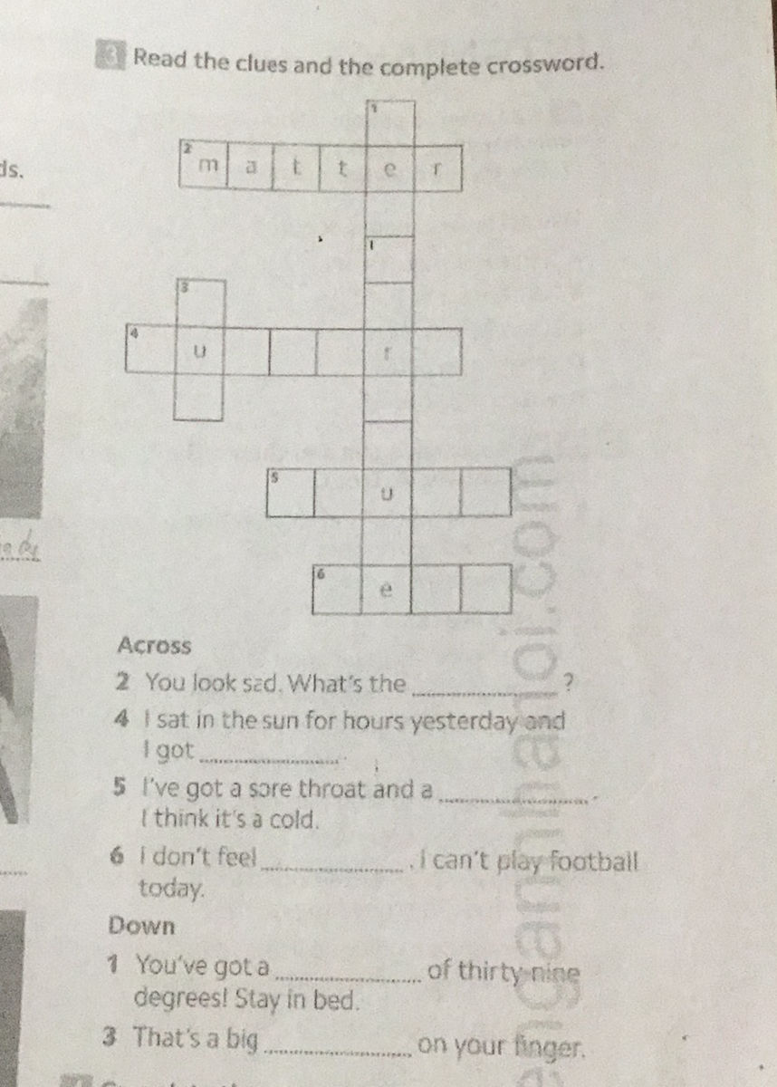 Read the clues and the complete crossword. | StudyX