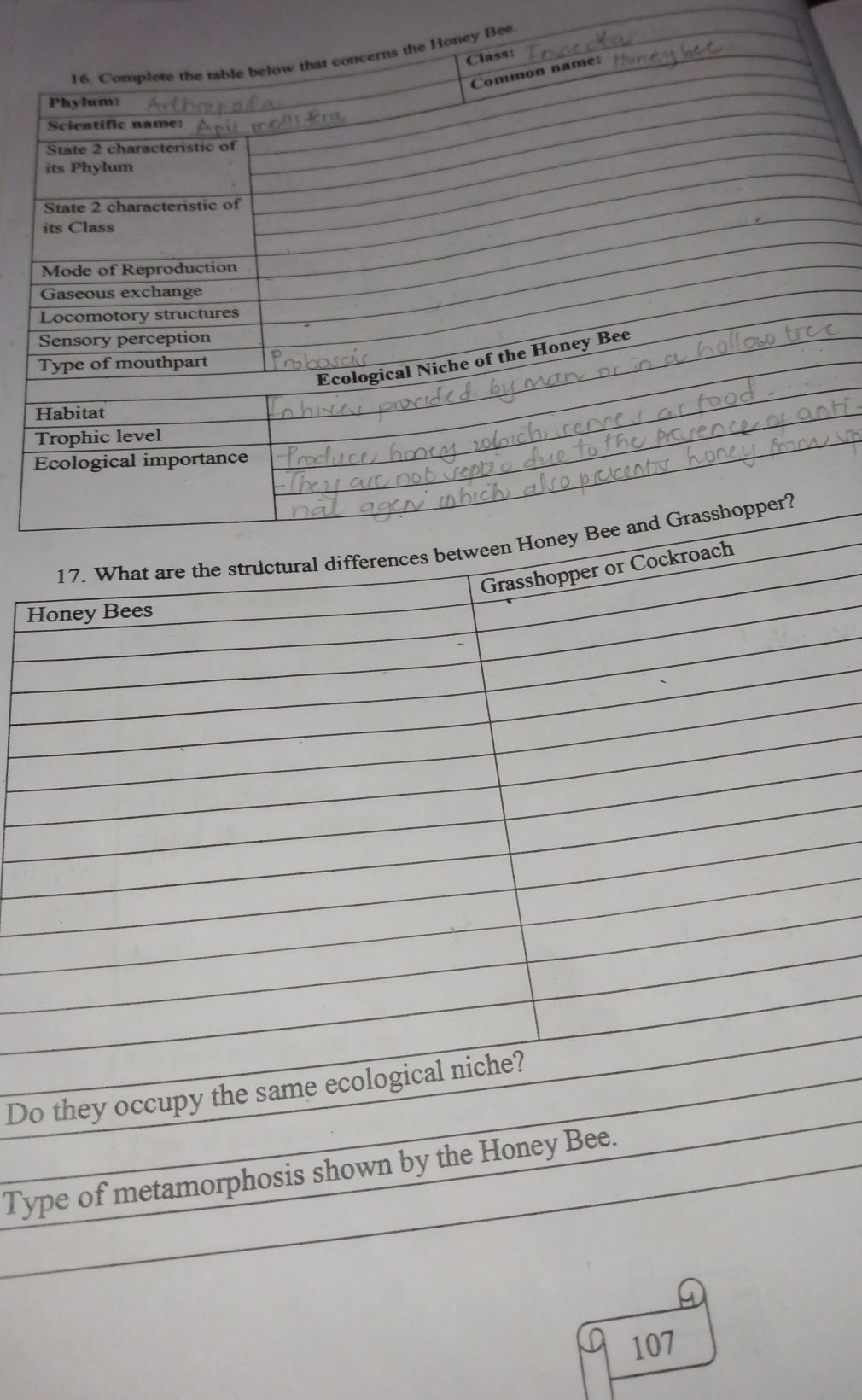 16. Complete the table below that concerns | StudyX
