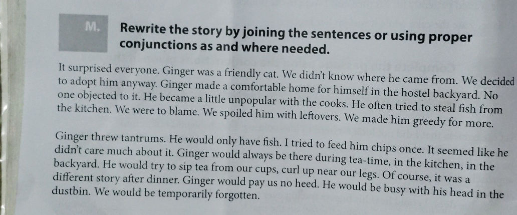 Rewrite the story by joining the sentences | StudyX