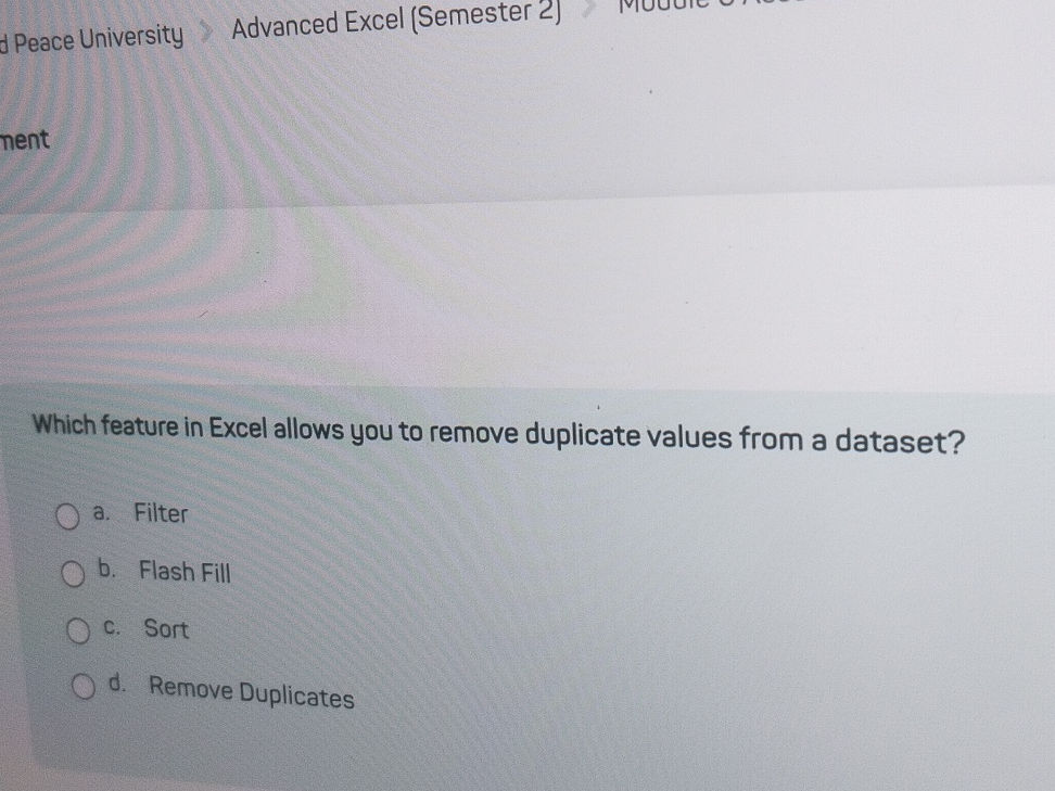 Which feature in Excel allows you to remove | StudyX