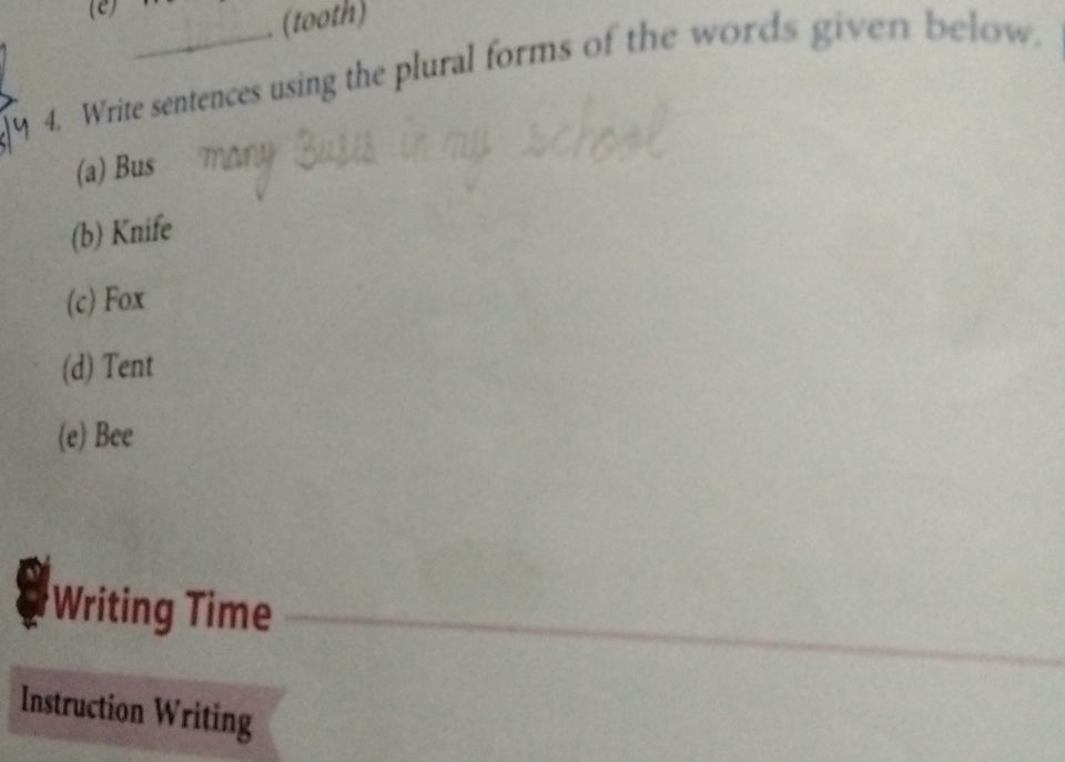 4. Write sentences using the plural forms of | StudyX