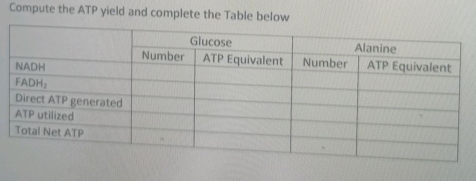 Compute the ATP yield and complete the Table | StudyX
