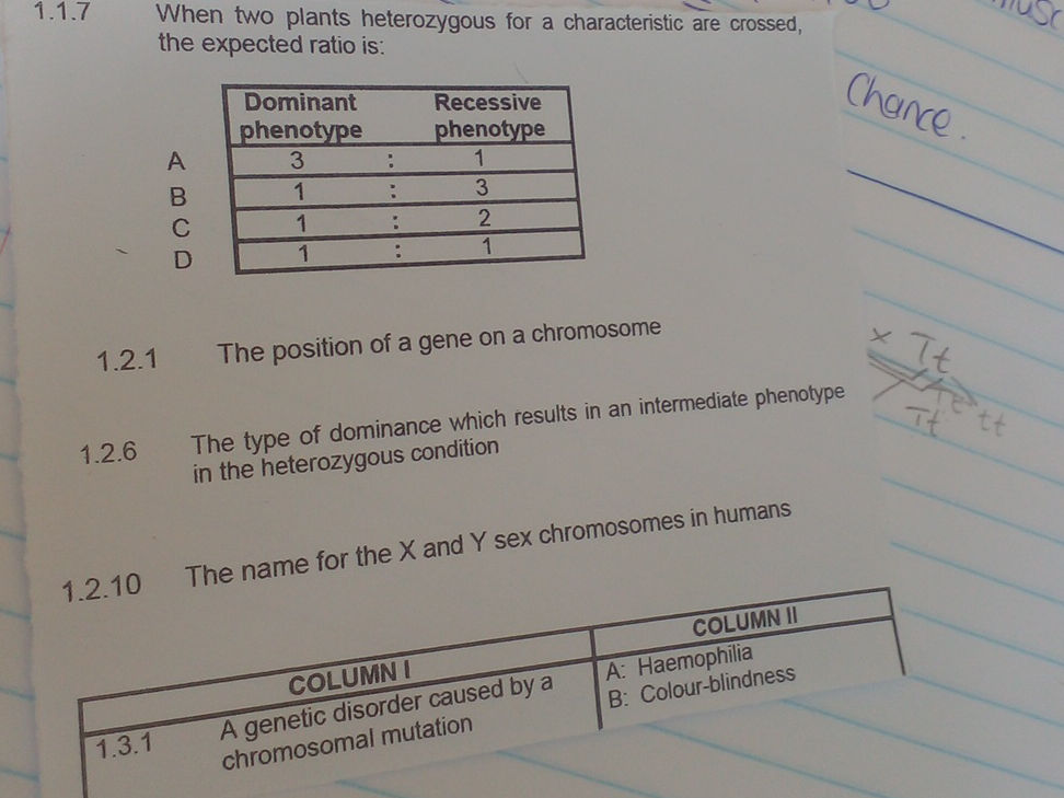 1.1.7 When two plants heterozygous for a | StudyX