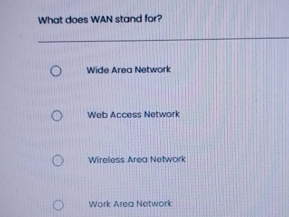 What does WAN stand for? Wide Area Network | StudyX