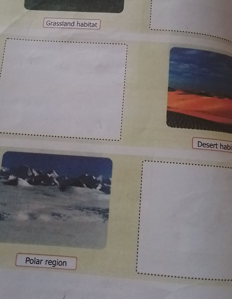 The image shows different habitats: | StudyX