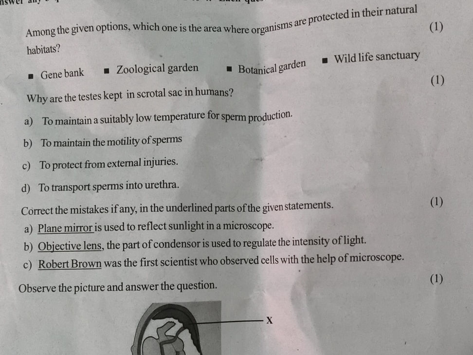 Among the given options, which one is the | StudyX