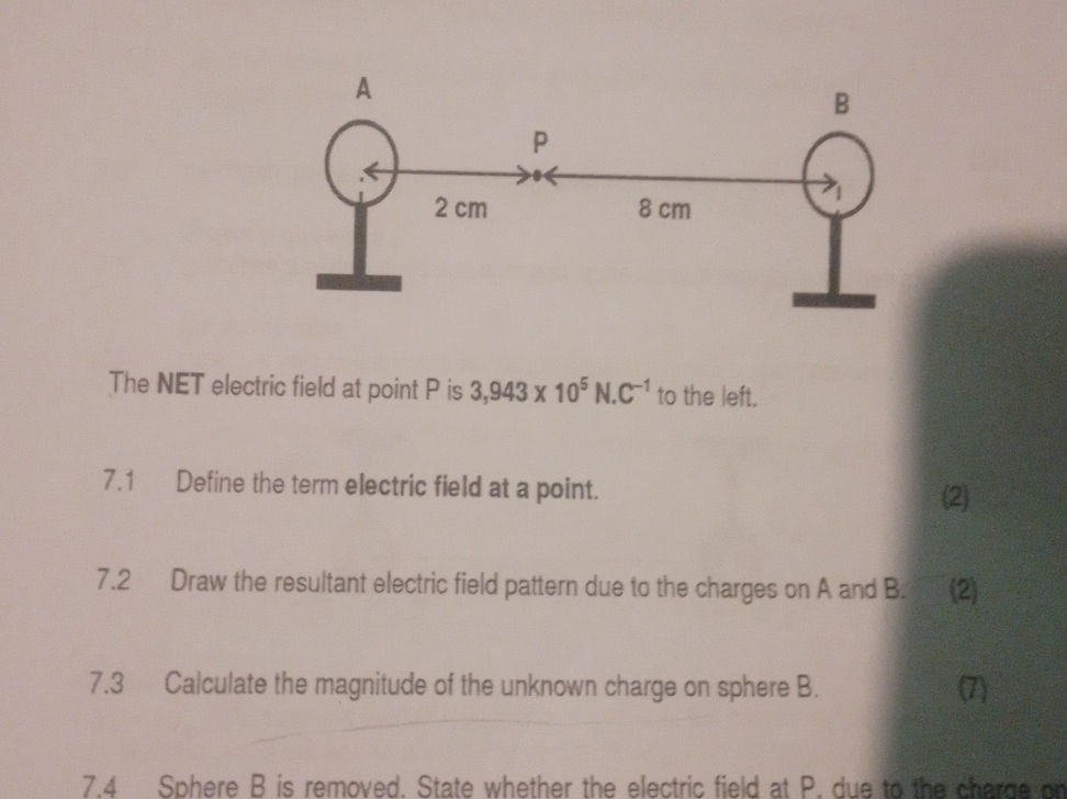 The NET electric field at point P is 3,943 x | StudyX