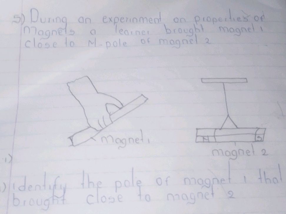 5) During an experiment on properties of | StudyX