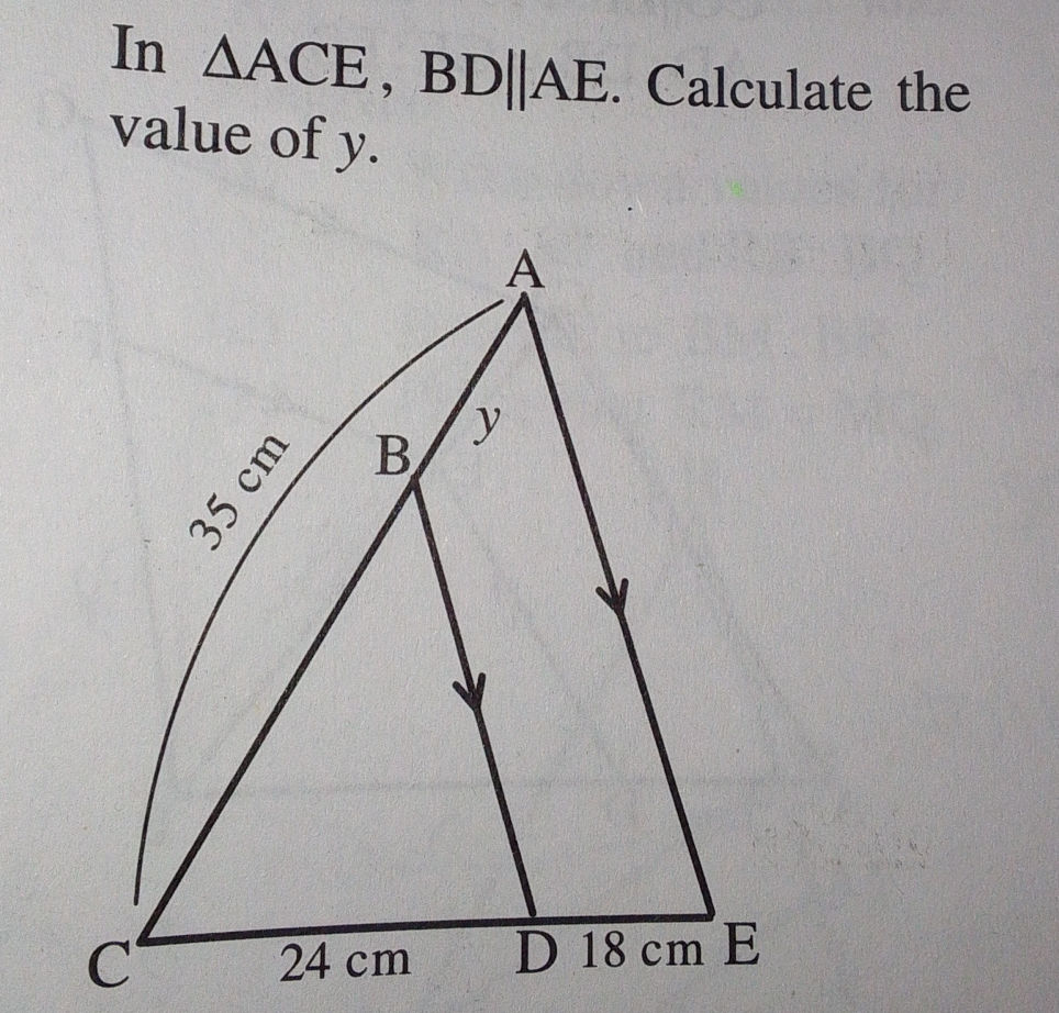 In $ ACE$, $BD AE$. Calculate the value | StudyX