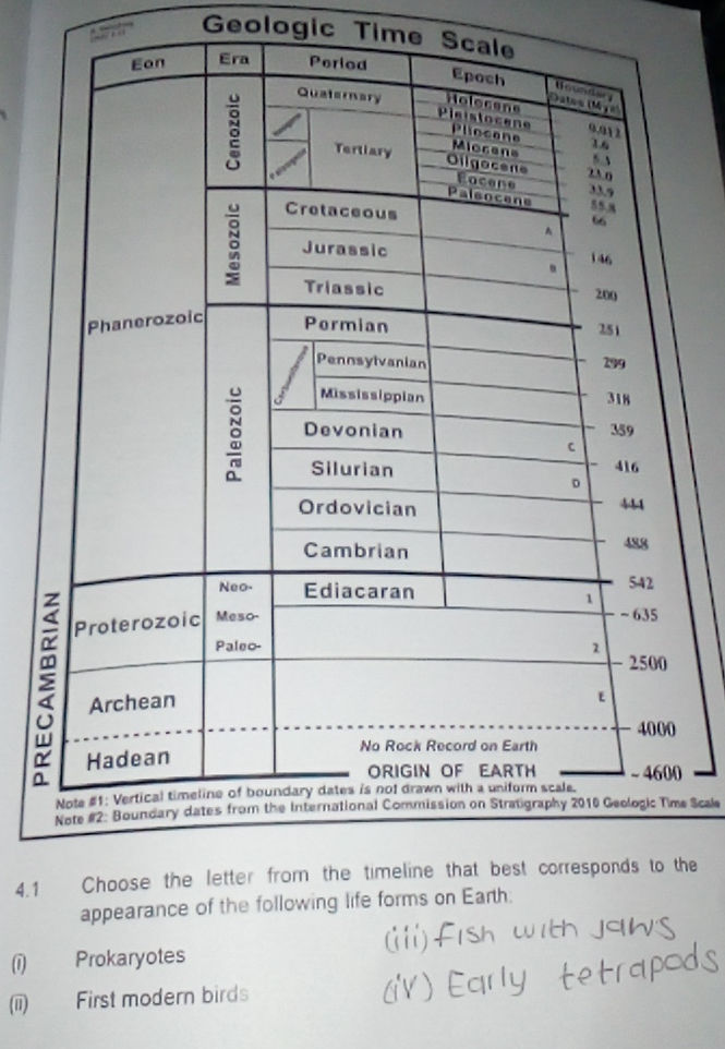 Geologic Time Scale | Eon | | StudyX