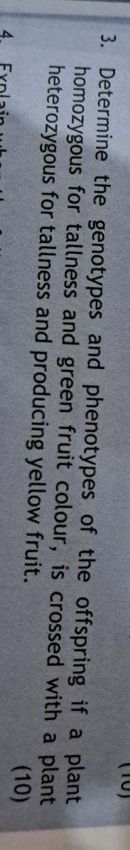 3. Determine the genotypes and phenotypes of | StudyX