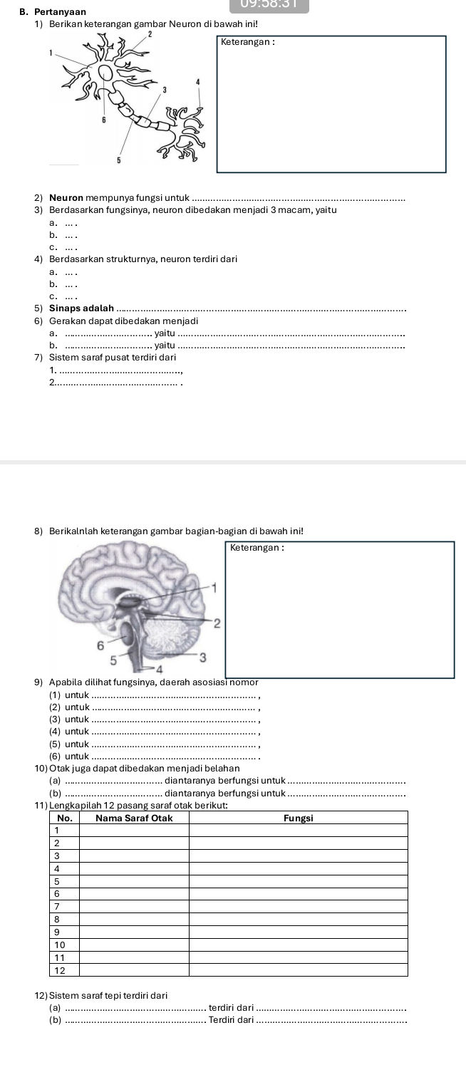 1) Berikan keterangan gambar Neuron di bawah | StudyX