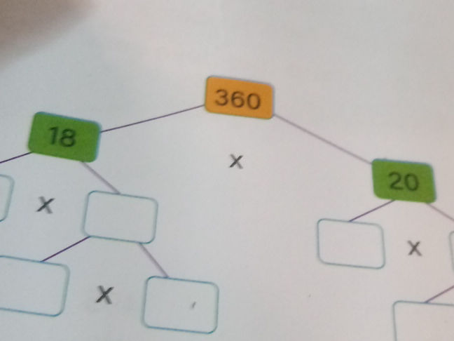 The image shows a factor tree. The top | StudyX