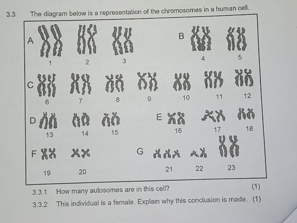 3.3 The diagram below is a representation of | StudyX