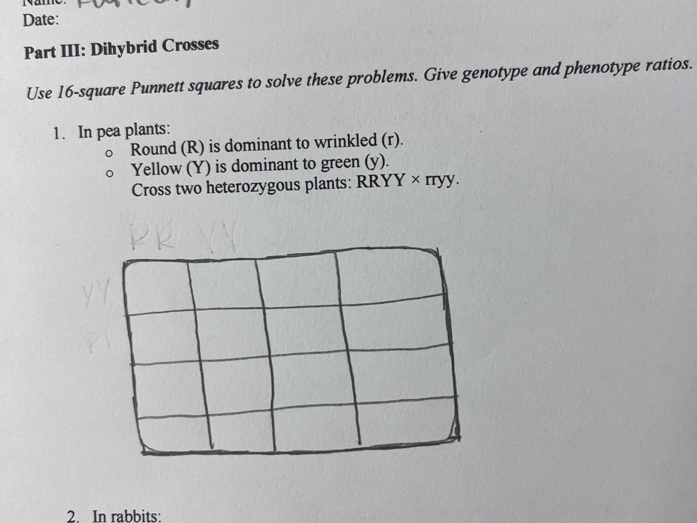 Use 16-square Punnett squares to solve these | StudyX