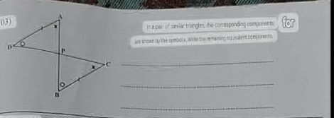 In a pair of similar triangles, the | StudyX