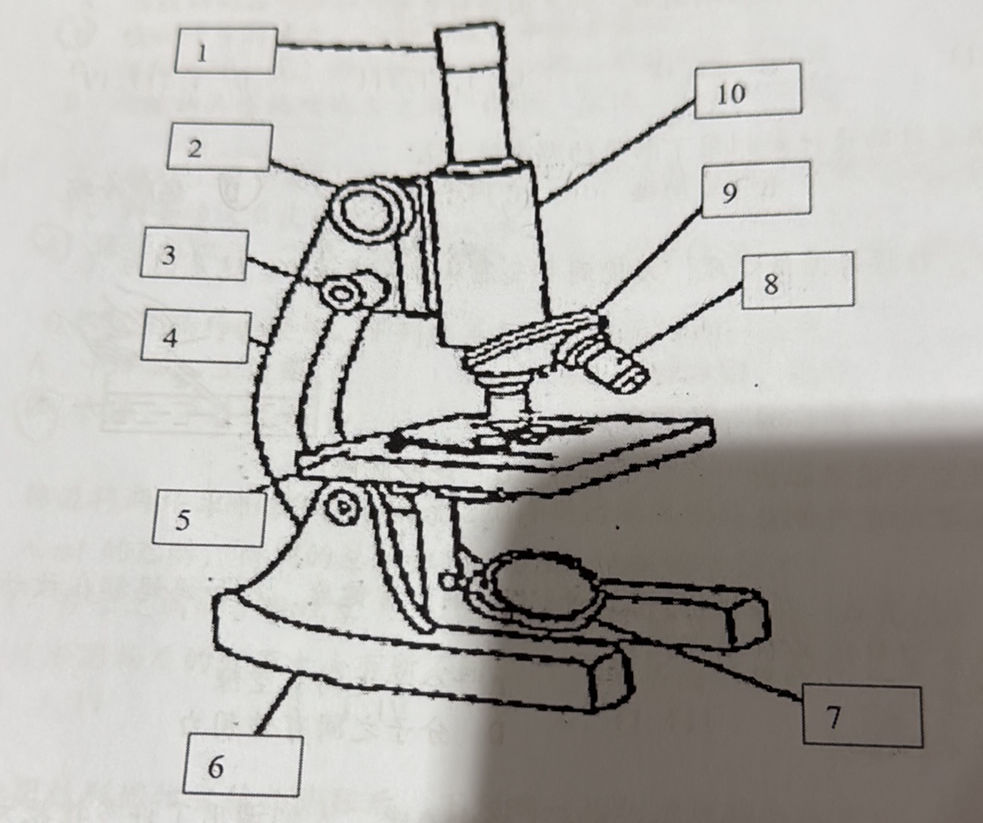 The image shows a diagram of a microscope | StudyX