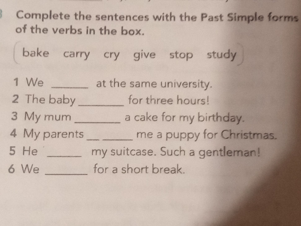 Complete the sentences with the Past Simple | StudyX