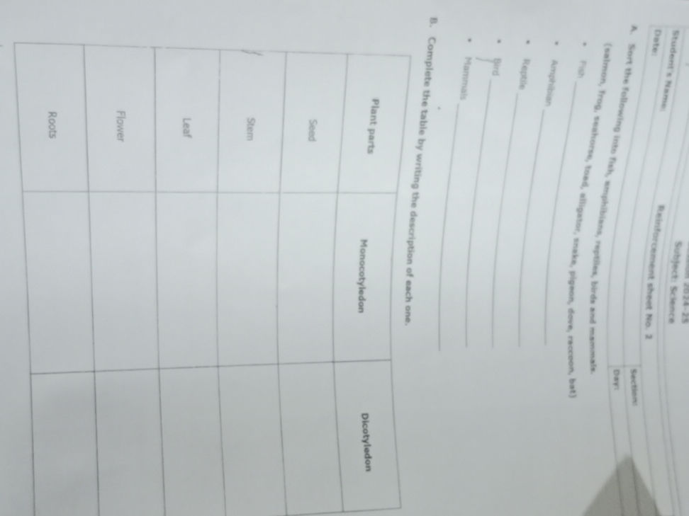 A. Sort the following into fish, amphibians, | StudyX