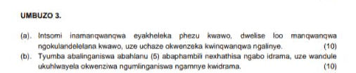 UMBUZO 3. (a). Intsomi inamanqwanqwa | StudyX