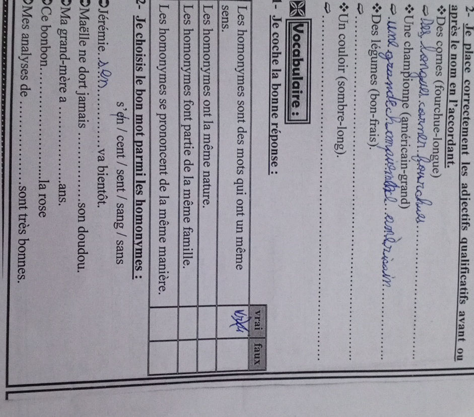 2- Je place correctement les adjectifs | StudyX