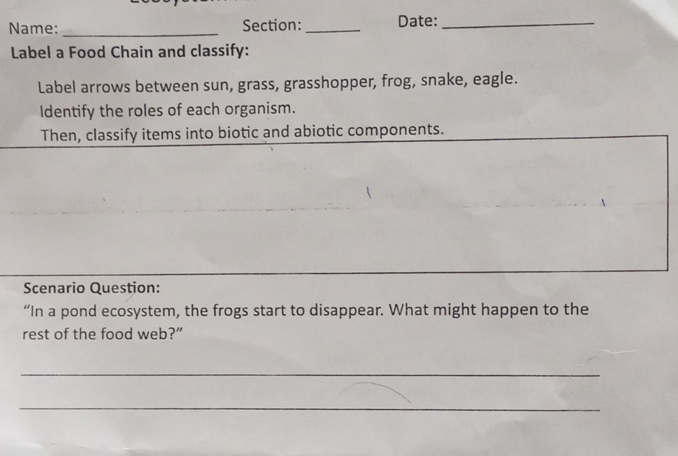 Label a Food Chain and classify: Label | StudyX
