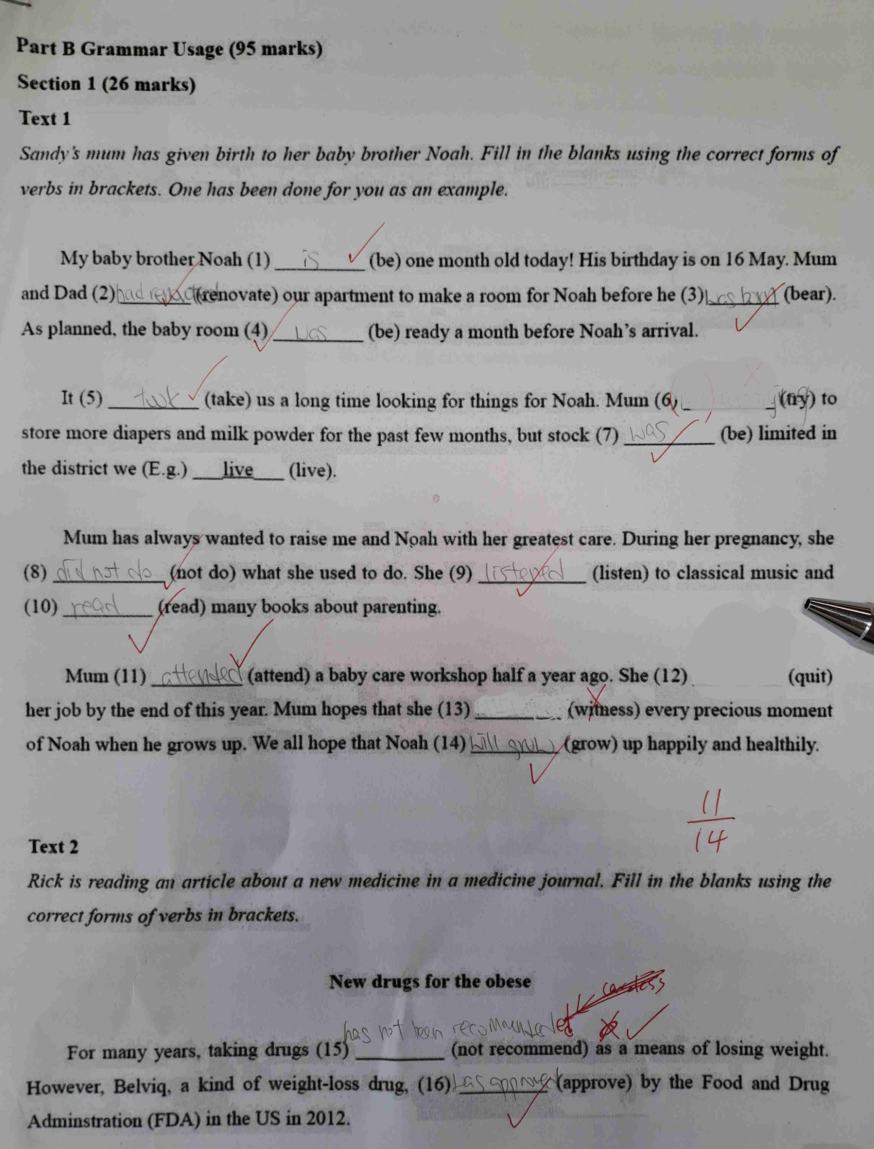 Part B Grammar Usage (95 marks) Section 1 | StudyX