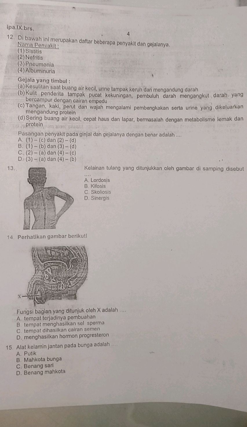 12. Di bawah ini merupakan daftar beberapa | StudyX