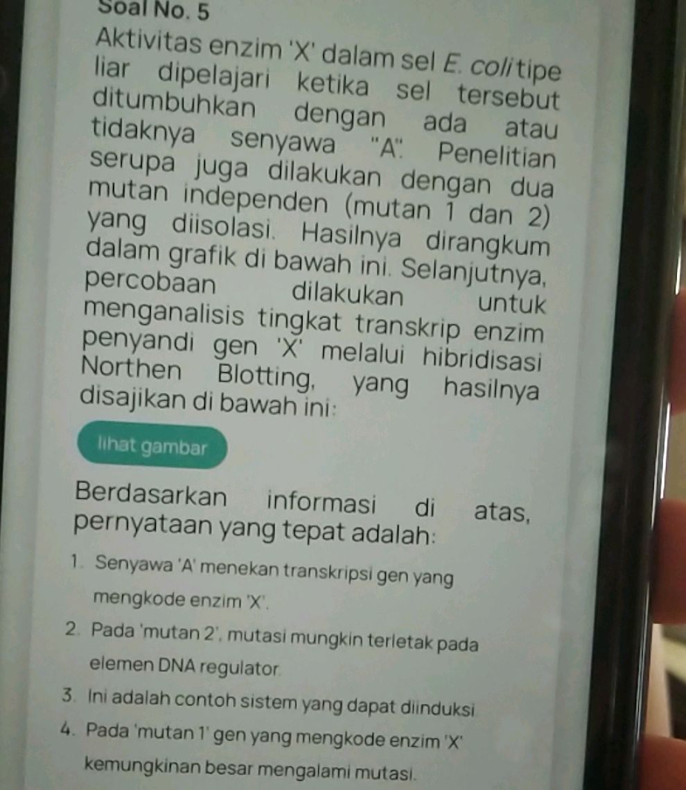 Berdasarkan informasi di atas, pernyataan | StudyX
